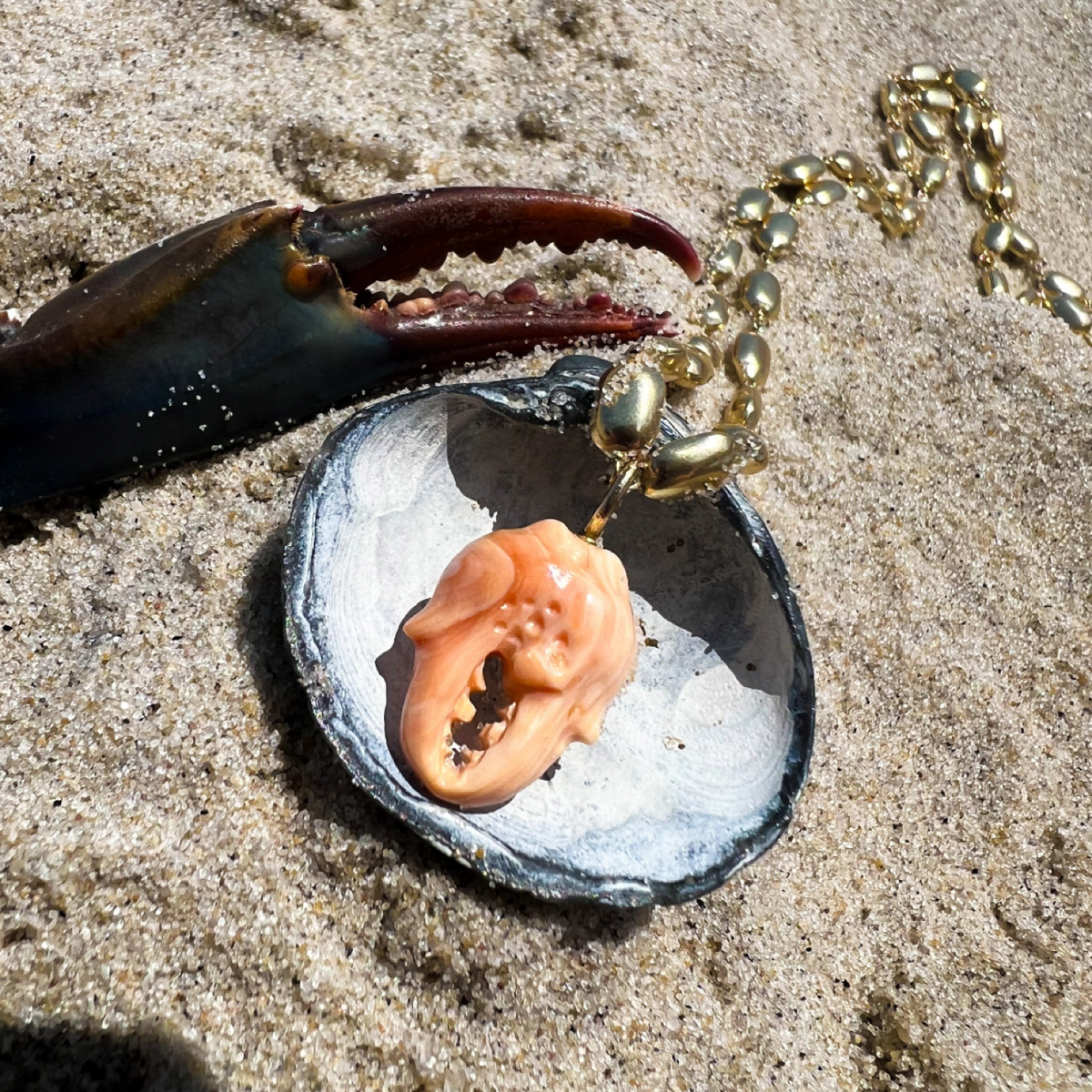 Apricot Conch Shell Crab Claw – Maura Green